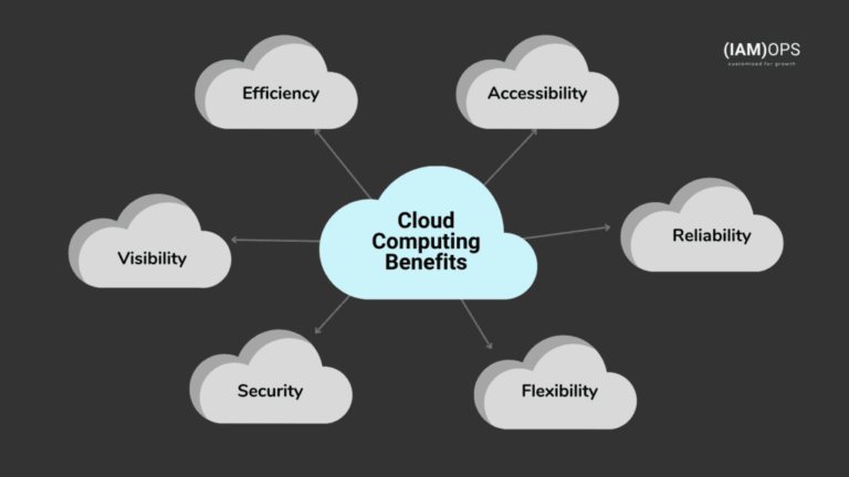 Cloud Infrastructure Management: IAMOPS