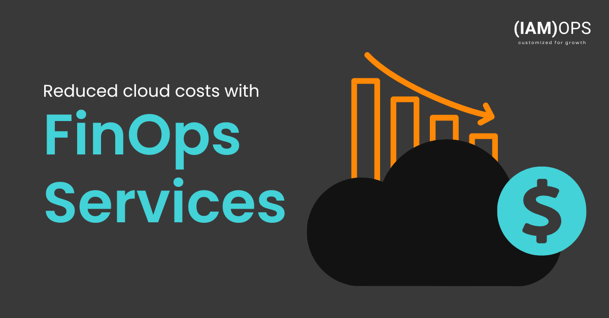 What is FinOps Service?